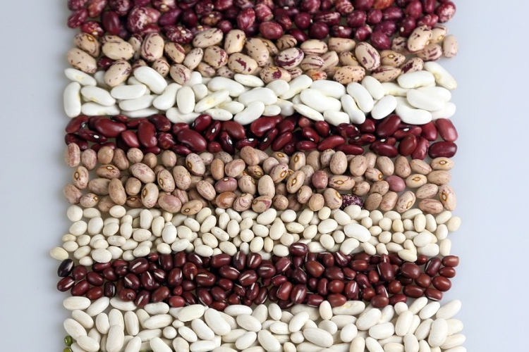 Los beneficios de las alubias, ¿por qué nos ayudan a adelgazar? | esVivir