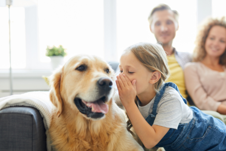 Por qué es bueno tener mascotas en casa | esVivir