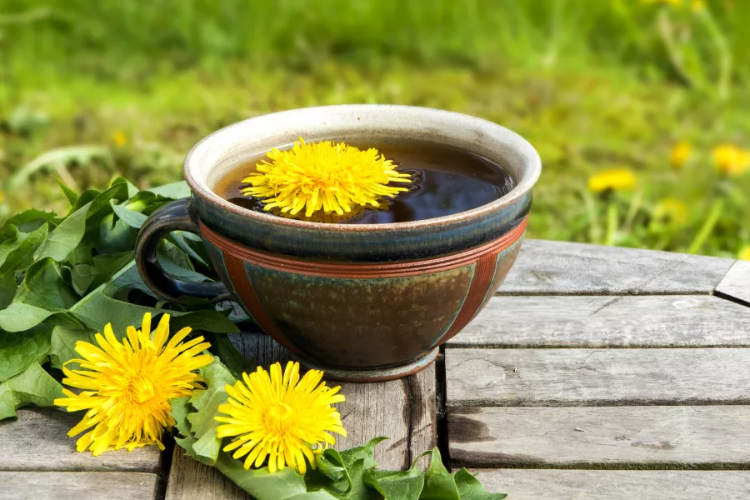 Tés de hierbas para la salud intestinal (Parte I) | esVivir