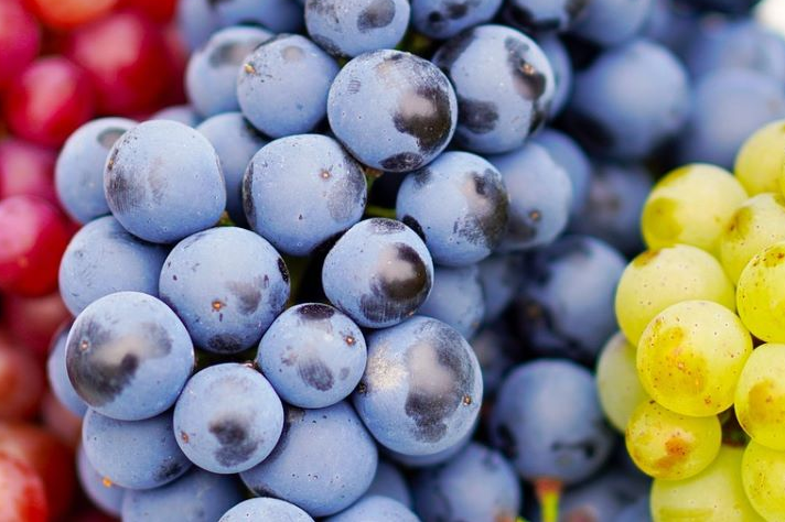 6 beneficios de las uvas | esVivir