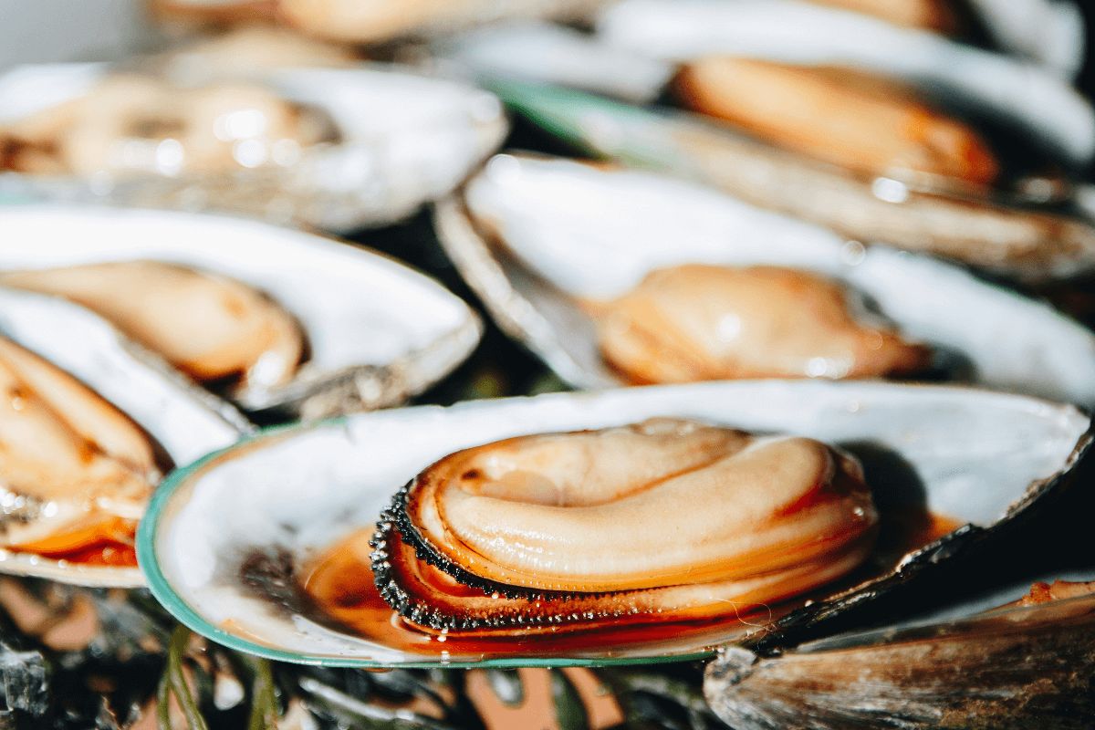 esVivir - estilos de vida que atrapan